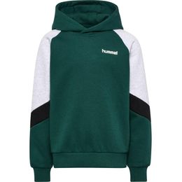 Hummel Kapuzenpullover Raglan&auml;rmel Hmljr Loose Kinder in JUNE BUG | Gr.: 104
