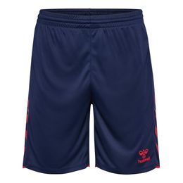 Hummel Workout Pants 'Core 2.0' male size XL Dark blue / Red