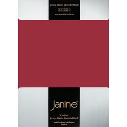 Janine Spannbetttuch Elastic Jersey 5002