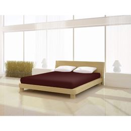 Mr. Sandman Spannbetttuch Fein Jersey de luxe 90 - 100 x 200 cm