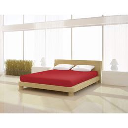 Mr. Sandman Spannbetttuch Fein Jersey de luxe 140 - 160 x 200 cm