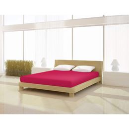 Mr. Sandman Spannbetttuch Fein Jersey de luxe 180 - 200 x 200 cm