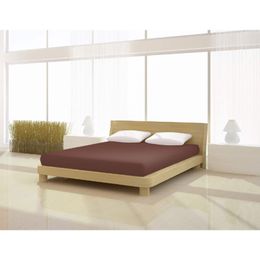 Mr. Sandman Spannbetttuch Jersey classic 180 - 200 x 200 cm