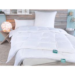 f.a.n. Frankenstolz Bettdecke Denver Leicht-Steppbett 135x200 cm