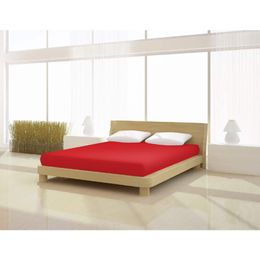 Mr. Sandman Spannbetttuch Full Elastan de luxe 120-130 x 200-220 cm