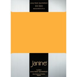 Janine Spannbetttuch Elastic Jersey 5002
