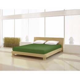 Mr. Sandman Spannbetttuch Jersey classic 180 - 200 x 200 cm