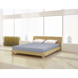 Mr. Sandman Spannbetttuch Jersey classic 140 - 160 x 200 cm