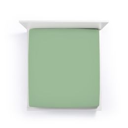 Formesse Spannbettlaken Bella Donna Jersey 037