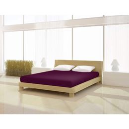 Mr. Sandman Spannbetttuch Elastan classic 120-130 x 200-220 cm