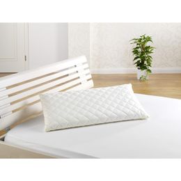 f.a.n. Frankenstolz Medisan Sleep & Care Dinkelkissen 40x60 cm