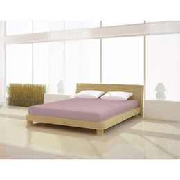 Mr. Sandman Spannbetttuch Fein Jersey de luxe 120 - 130 x 200 cm