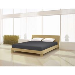Mr. Sandman Spannbetttuch Jersey classic 140 - 160 x 200 cm