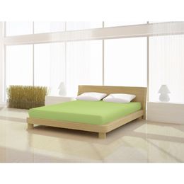 Mr. Sandman Spannbetttuch Elastan classic 120-130 x 200-220 cm
