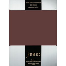 Janine Spannbetttuch Elastic Jersey 5002