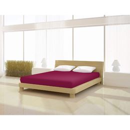 Mr. Sandman Spannbetttuch Fein Jersey de luxe 120 - 130 x 200 cm
