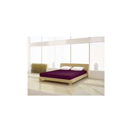 Mr. Sandman Spannbetttuch Elastan basic 140-160 x 200-220 cm