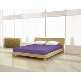 Mr. Sandman Spannbetttuch Jersey classic 180 - 200 x 200 cm
