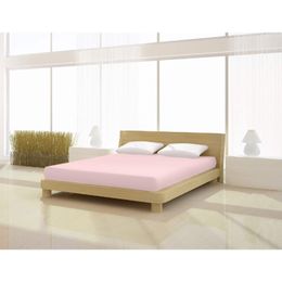 Mr. Sandman Spannbetttuch Fein Jersey de luxe 90 - 100 x 200 cm