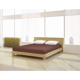 Mr. Sandman Spannbetttuch Elastan classic 120-130 x 200-220 cm