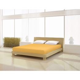 Mr. Sandman Spannbetttuch Fein Jersey de luxe 120 - 130 x 200 cm
