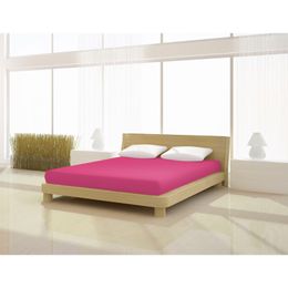 Mr. Sandman Spannbetttuch Jersey classic 180 - 200 x 200 cm
