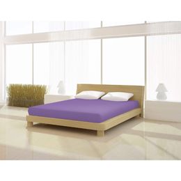 Mr. Sandman Topper Spannbetttuch Full Elastan de luxe 180 x 200 cm