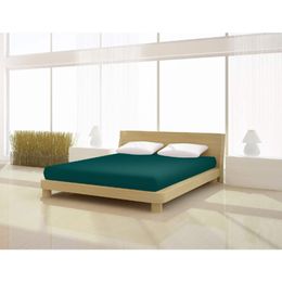 Mr. Sandman Spannbetttuch Full Elastan de luxe 120-130 x 200-220 cm