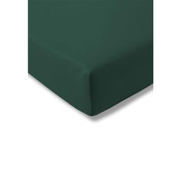 Estella Spannbetttuch Feinjersey