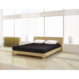 Mr. Sandman Spannbetttuch Fein Jersey de luxe 90 - 100 x 200 cm