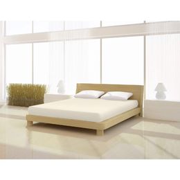 Mr. Sandman Spannbetttuch Jersey classic 180 - 200 x 200 cm