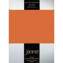 Janine Spannbetttuch Elastic Jersey 5002