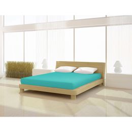 Mr. Sandman Spannbetttuch Elastan basic 180-200 x 200-220 cm
