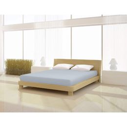 Mr. Sandman Spannbetttuch Fein Jersey de luxe 180 - 200 x 200 cm