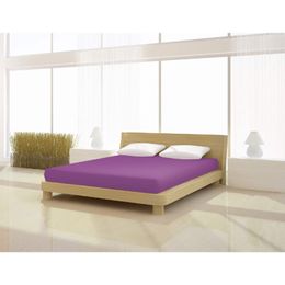Mr. Sandman Spannbetttuch Jersey classic 140 - 160 x 200 cm