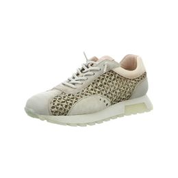 Hispanitas Sneaker Low in gr&uuml;n | Gr.: 37