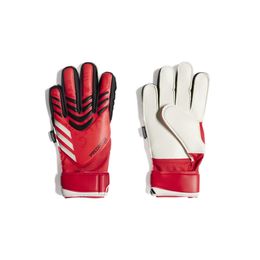 adidas Performance Sporthandschuhe 'Predator' Herren Gr&ouml;&szlig;e XS rot / schwarz / wei&szlig;