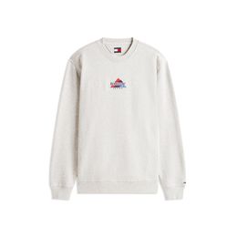 Tommy Jeans Sweatshirt Herren Gr&ouml;&szlig;e L blau / hellgrau / rot