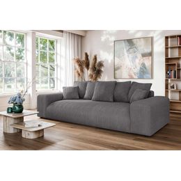 Big-Sofa Home Affaire, B:256,5cm H:82cm T:122cm, grau, 83% Polyester, 17% Nylon, Sofas, "LAKESIDE 3-Sitzer Schlafsofa mit Bettkasten, Breite 256,5