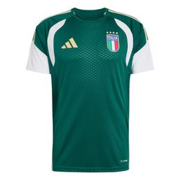 adidas Performance Jersey 'Italien 26' male size 4XL Blue / Pastel yellow / Green / White