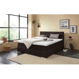 Boxspringbett COTTA, L:209cm, braun, Polyester, Komplettbetten, "Simba erh&auml;ltlich in verschiedenen Breiten, Farben und H&auml;rtegraden", Bezugsstoff: