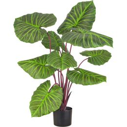 Creativ green Kunstpflanze &raquo;Colocasia&laquo; mit traumhaft sch&ouml;nen Bl&auml;ttern gr&uuml;n Obermaterial: 100% Kunststoff B/H/L: 100cm, 1 Stk.