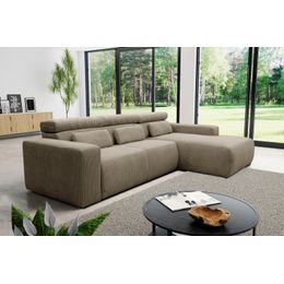 Ecksofa DOMO collection, B:289cm H:80cm T:175cm, braun, Luxus-Microfaser in Antikleder-Optik (100% Polyester);Luxus-Microfaser (100%