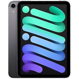 Apple iPad mini 6 8,3 256GB [Wi-Fi + Cellular] space grau