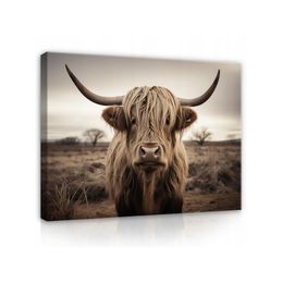 WALLARENA Leinwandbild Schottische Kuh in Braun | Gr.: 40 x 30 cm