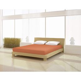Mr. Sandman Spannbetttuch Fein Jersey de luxe 90 - 100 x 200 cm