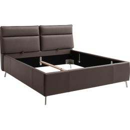 Polsterbett Home Affaire, B:206cm H:108cm L:236cm, braun, 100% Leder, Betten, "Cozy Town", inkl. 7-fache Einlegetiefenverstellung &
