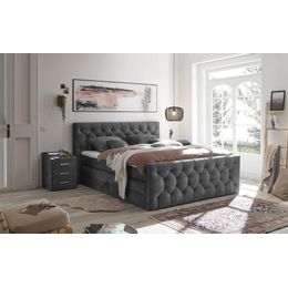 Boxspringbett, B:200cm L:225cm, grau, ED EXCITING DESIGN, 100% Polyester, Komplettbetten, "CASHFIELD, Doppelbett mit Bettkasten und