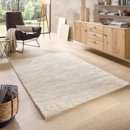 Wollteppich Theko, B:140cm H:25mm L:200cm, beige, Wolle, Wohnzimmer, Teppiche, "Aurelle Uni", handgewebt, Unifarben, leichter Glanz, weich & kuschelig