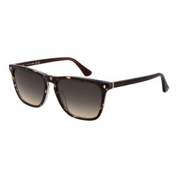 Web Brown Acetat Sonnenbrille